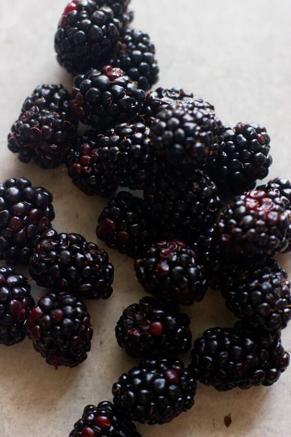 Gifting Homemade Blackberry Butter with HP Sprout - Cooking for Keeps